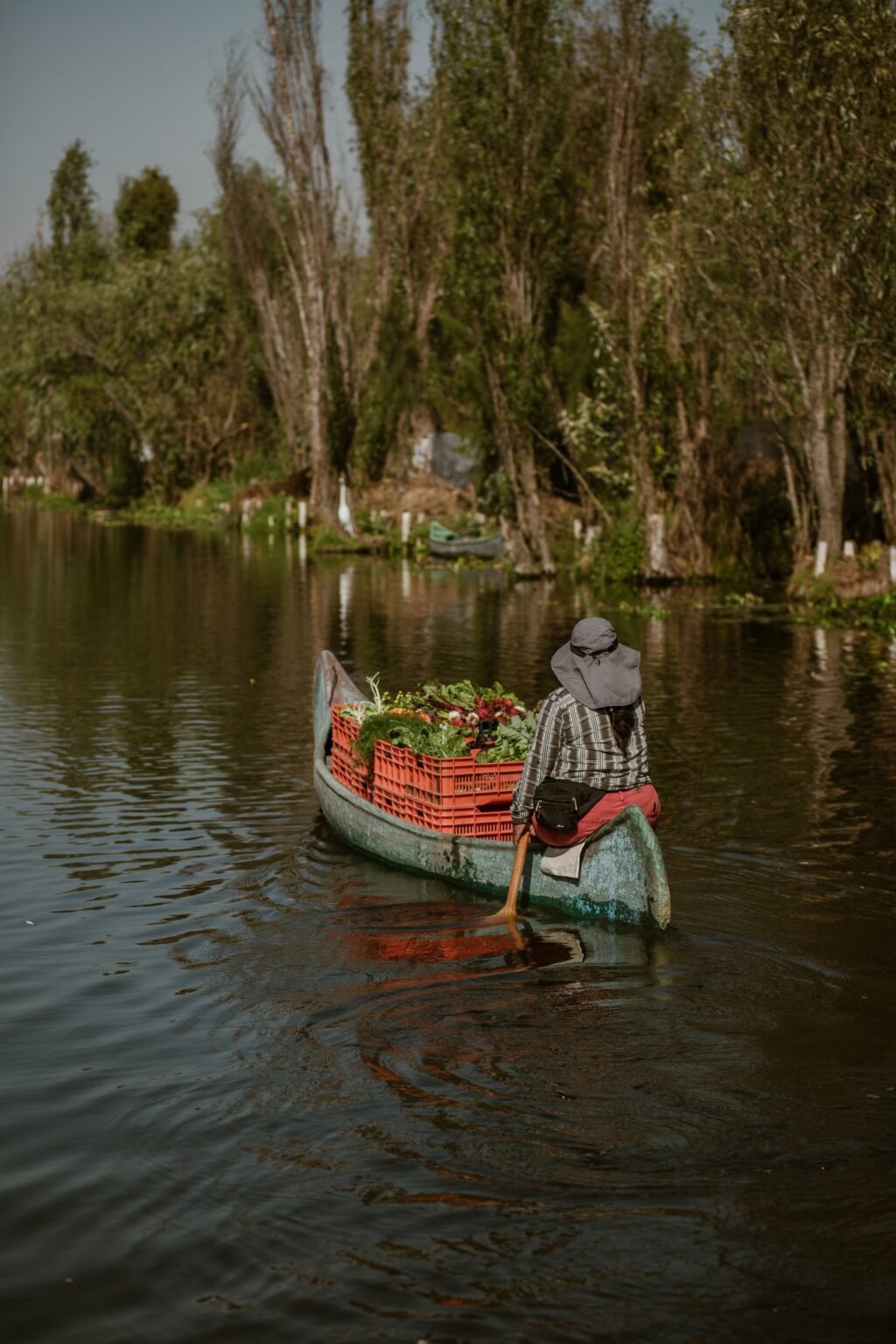 CASA EAMES: 75 AÑOS DE UN ÍCONO MODERNISTA - Vive Totalmente Palacio
