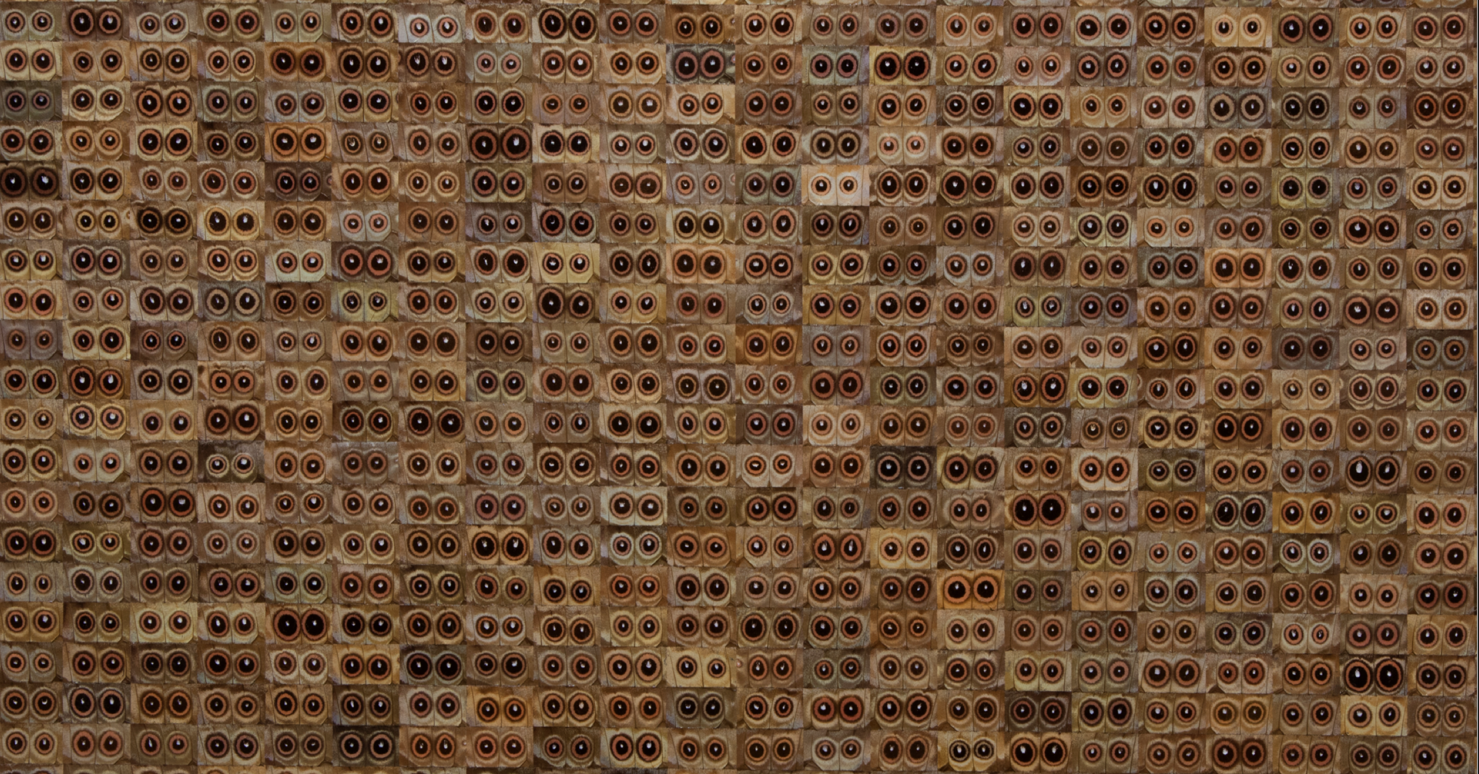 SABINO 336, UN ESPACIO CULTURAL DISEÑADO POR ALBERTO KALACH - Vive ...